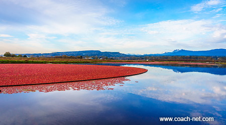 Fall RV Trips and Events | Coach-Net