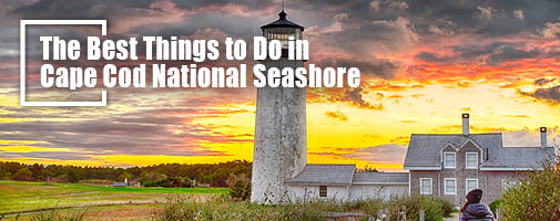 The Best Things to Do in Cape Cod National Seashore | Coach-Net